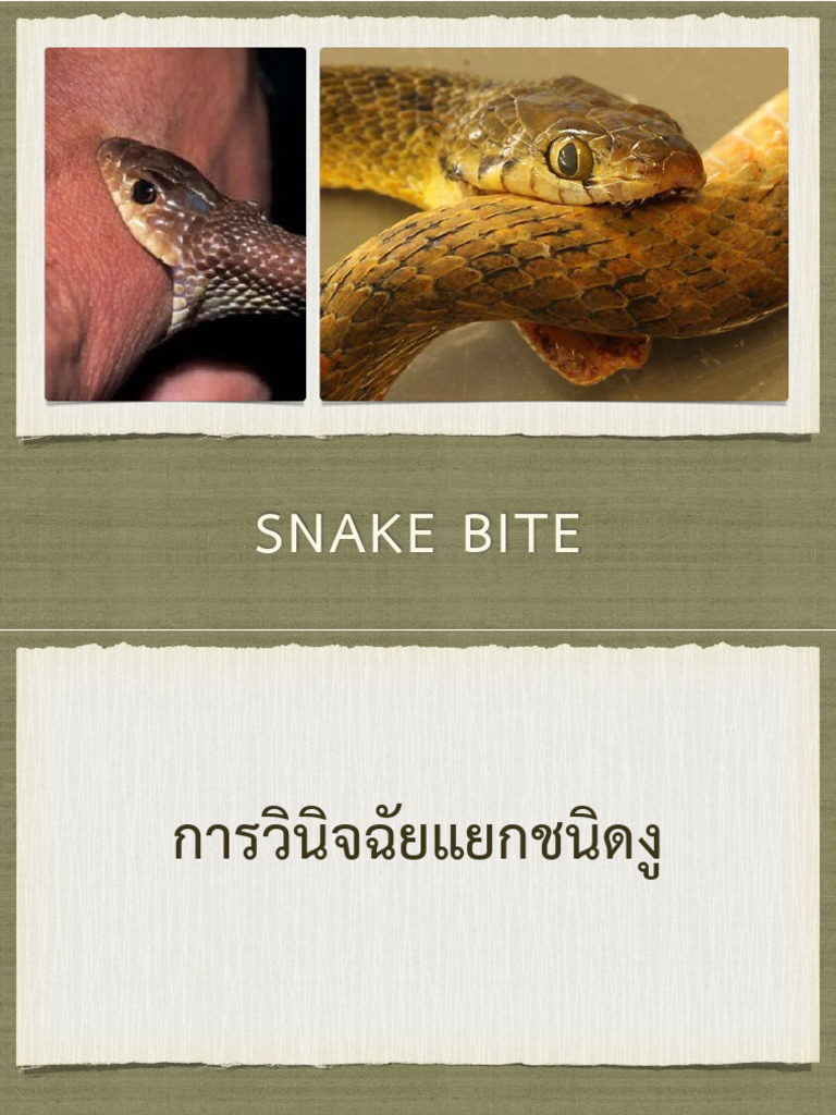 ?6.snake Bite Antidote 2020 | PDF