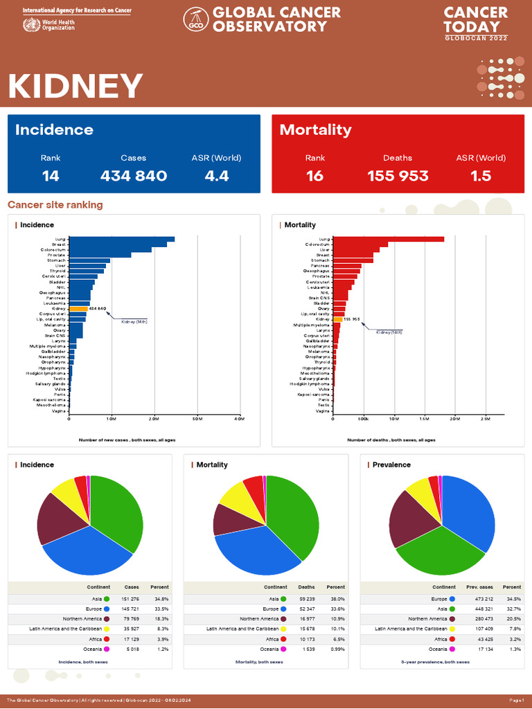 29 Kidney Fact Sheet | PDF | Oceania | Clinical Medicine