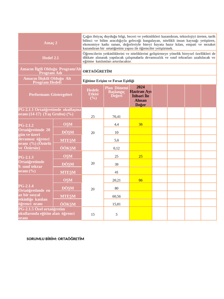 Stratejik Plan Haziran Ayi Izleme Tablosu | PDF