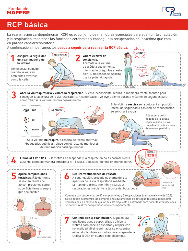 Infografia RCP 2024 | PDF | Reanimación cardiopulmonar | Medicina CLINICA