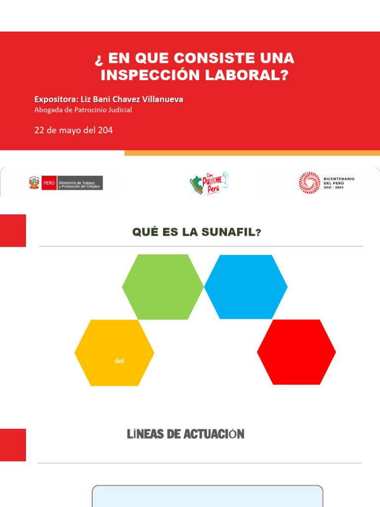 0 PDF LIZ BANI | PDF | Derecho laboral
