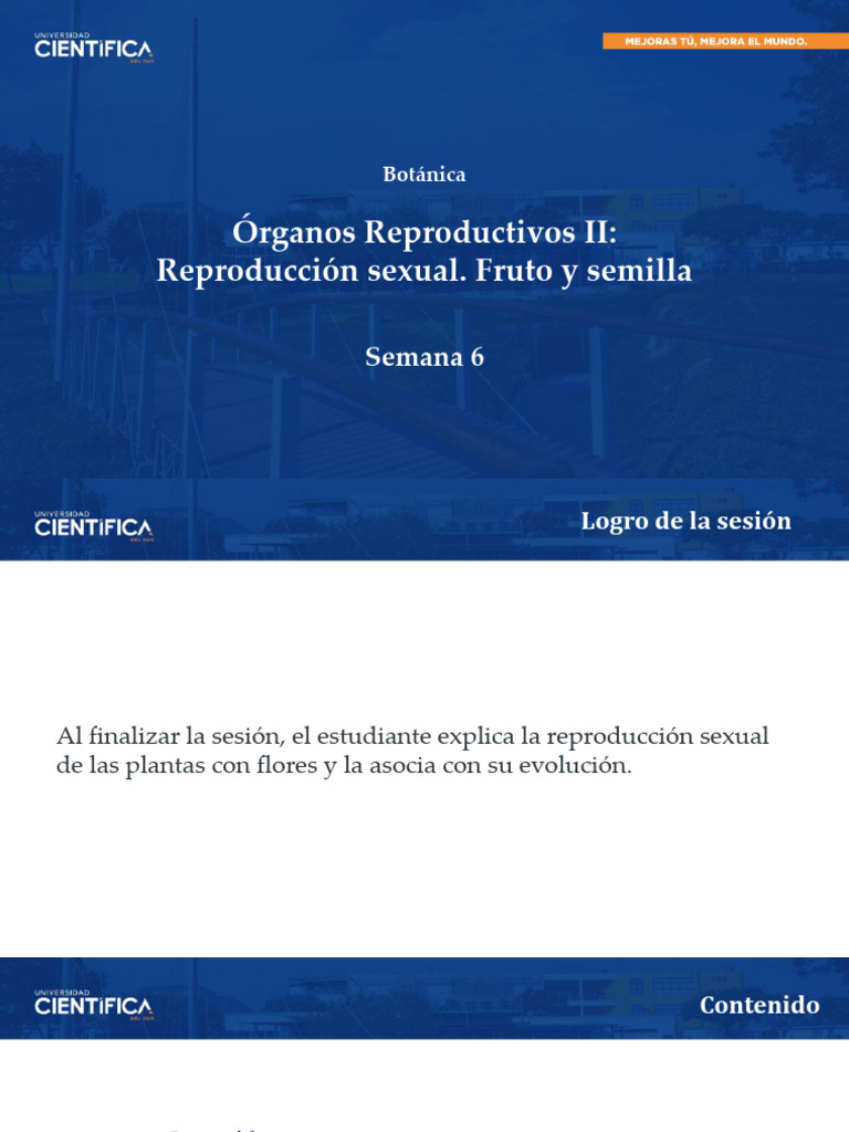 Semana 06 - Reproducci N Sexual en Angiospermas | PDF | Flores | Polen