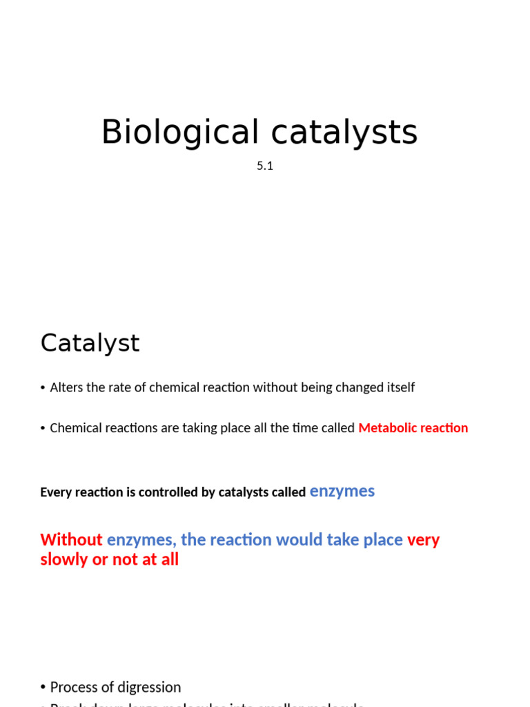 Enzymes: Function and Influencing Factors | PDF | Enzyme | Active Site