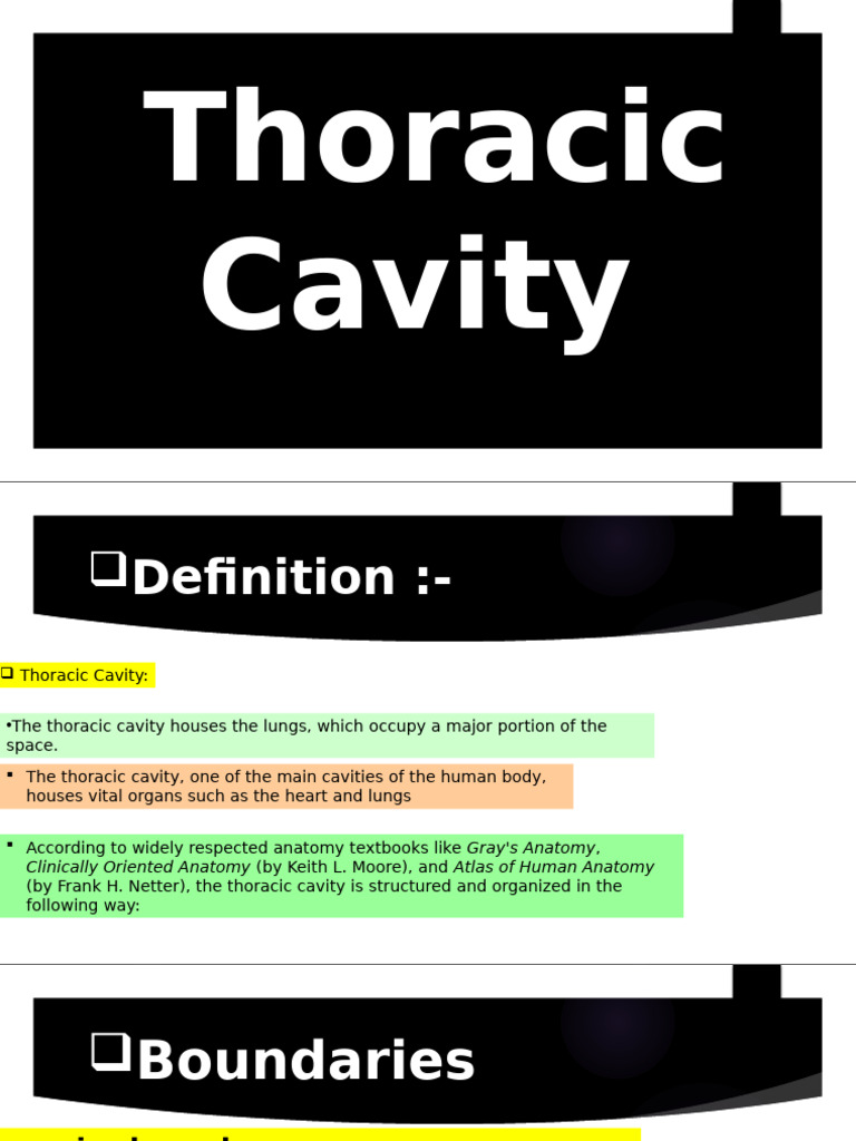 Thoracic Cavity | PDF | Lung | Thorax