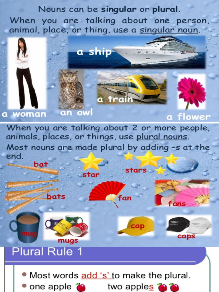 Plural Nouns Basic 1 | PDF