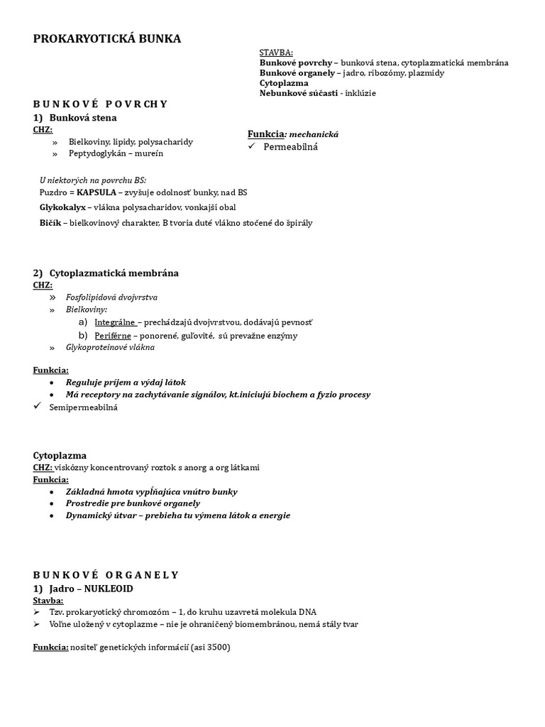 Prokaryotická Bunka | PDF
