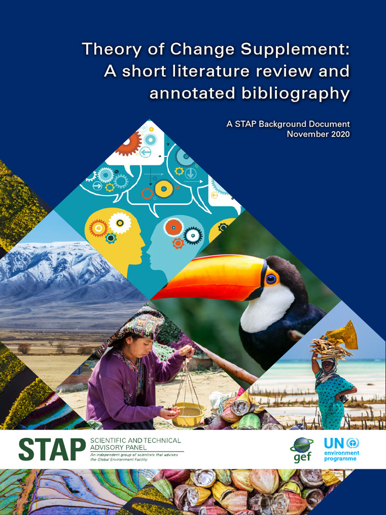 Theory of Change Literature Review Guide | PDF