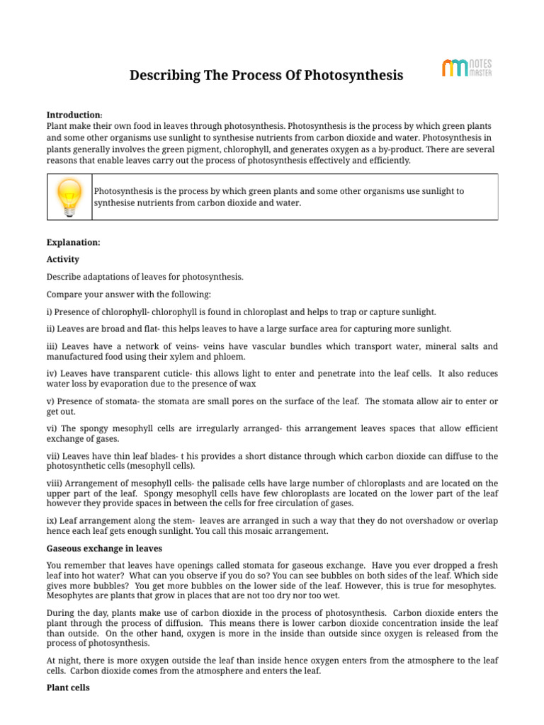 photosynthesis 1 | PDF | Leaf | Photosynthesis