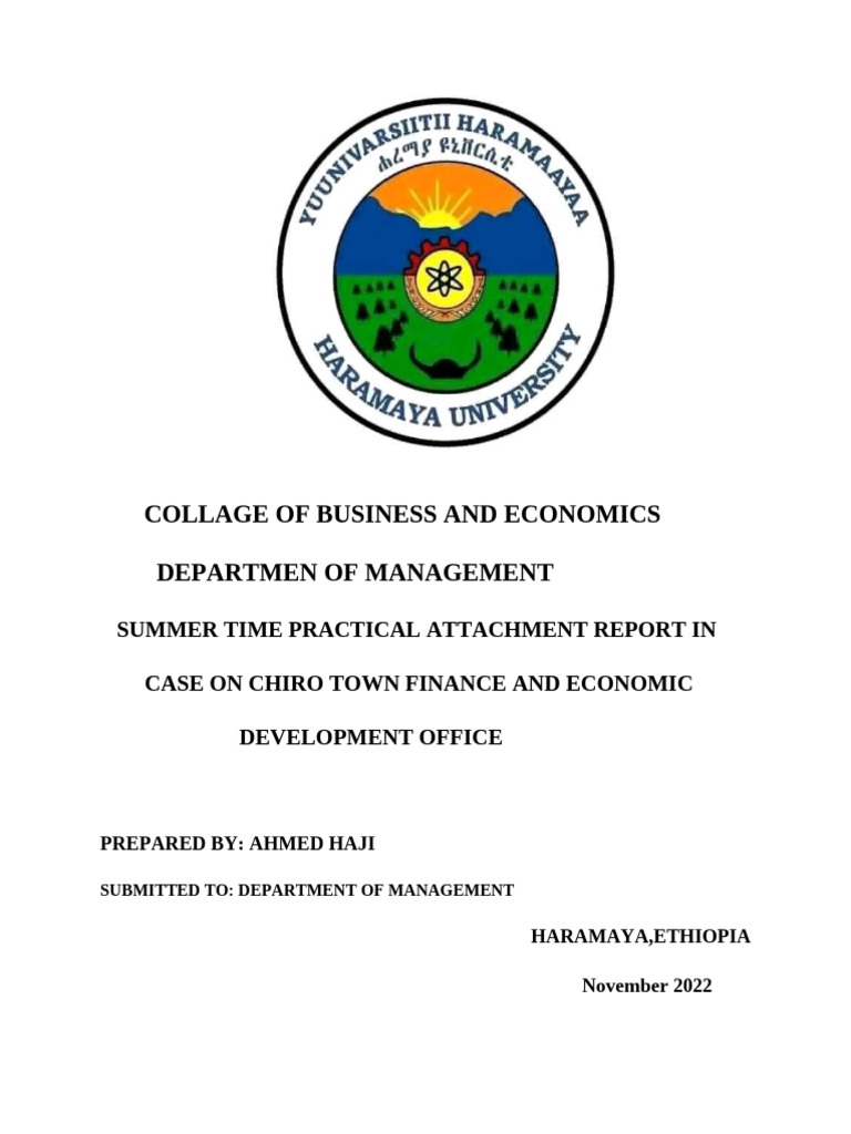Chiro Town Finance Development Report | PDF | Human Resources | Employment