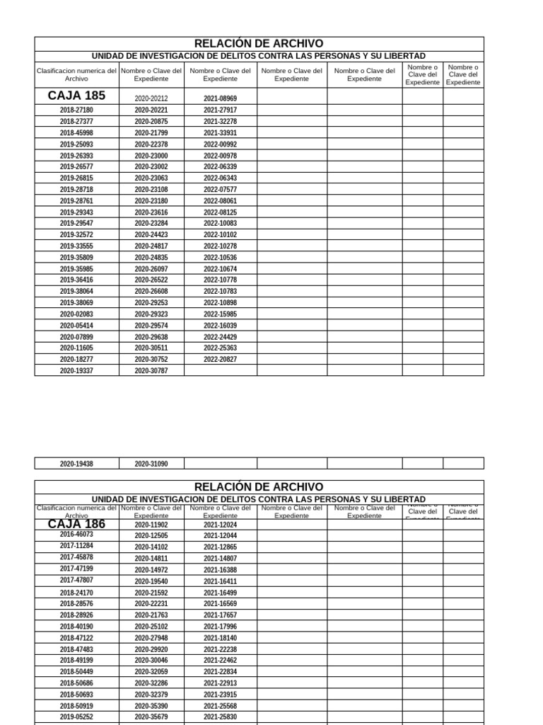 CAJAS ARCHIVO Rafa 2024 | PDF