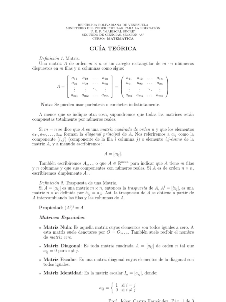 Guia Teorica de Matrices (5to Año) 2dolapso | PDF | Determinante ...