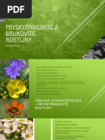 BBCH Stupnice | PDF
