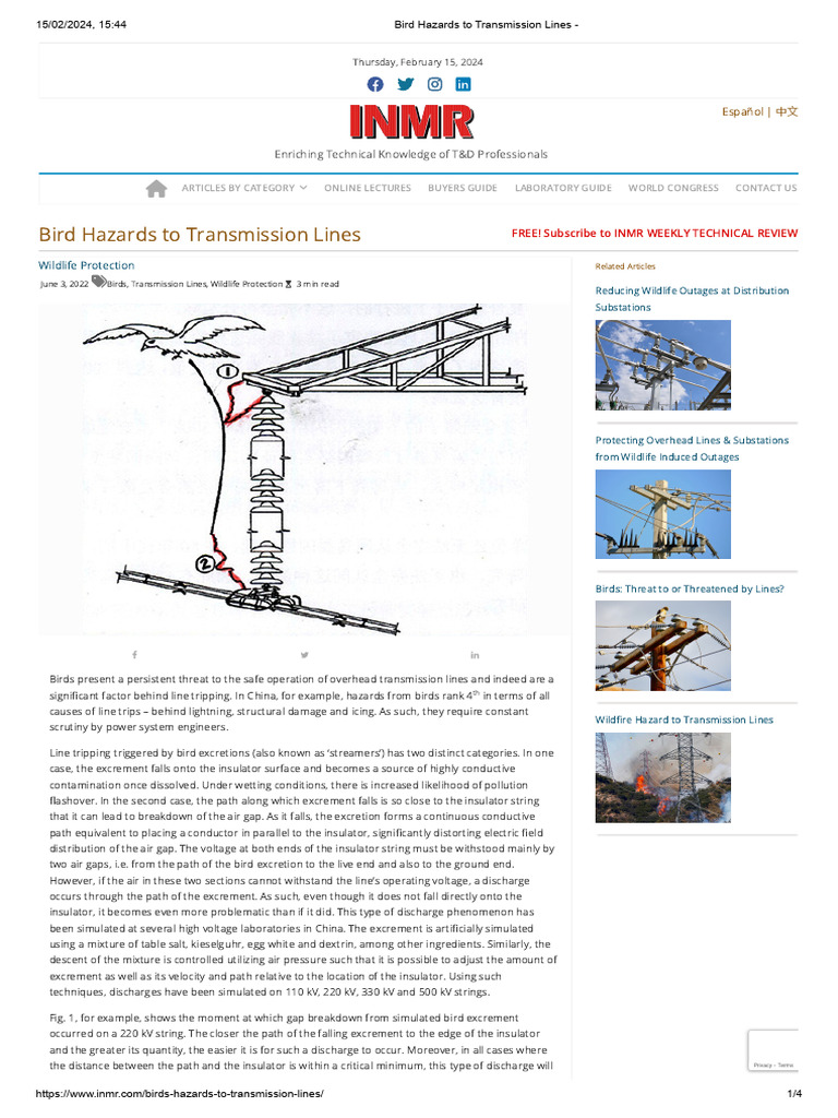 Bird Hazards To Transmission Lines | PDF | Insulator (Electricity ...
