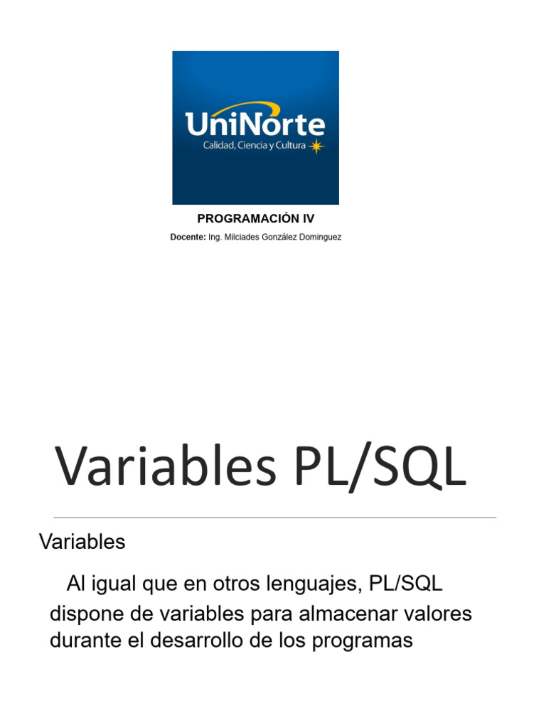 Introduccion Variables | PDF | Informática