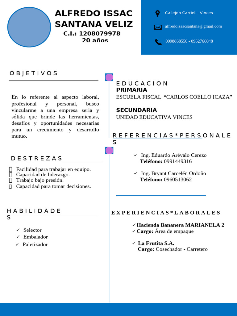 Curriculum Nathan.. | PDF