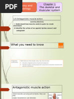 True Muscle Calendar | PDF | Body Shape | Determinants Of Health