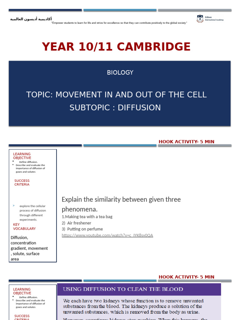 Diffusion | PDF | Diffusion | Underwater Diving