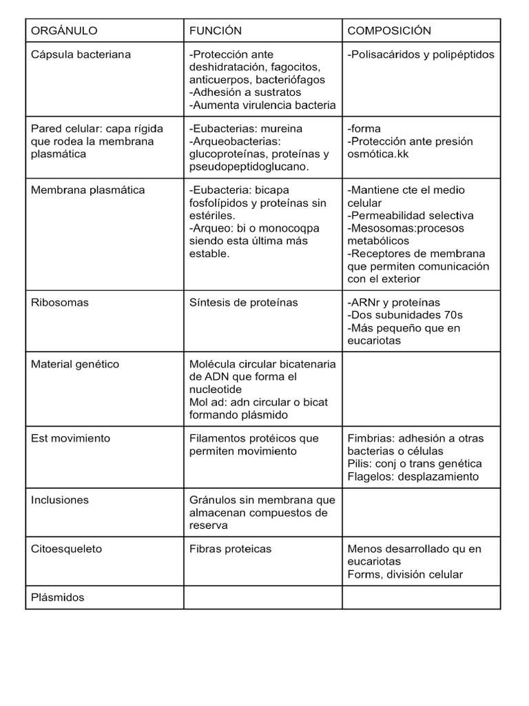 Organulos Procariota Esquema 2bto | PDF