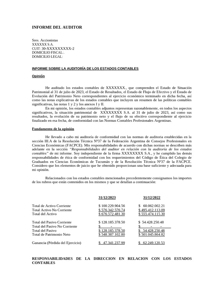 INFORME DEL AUDITOR CLASES | PDF | Contabilidad | Auditoría