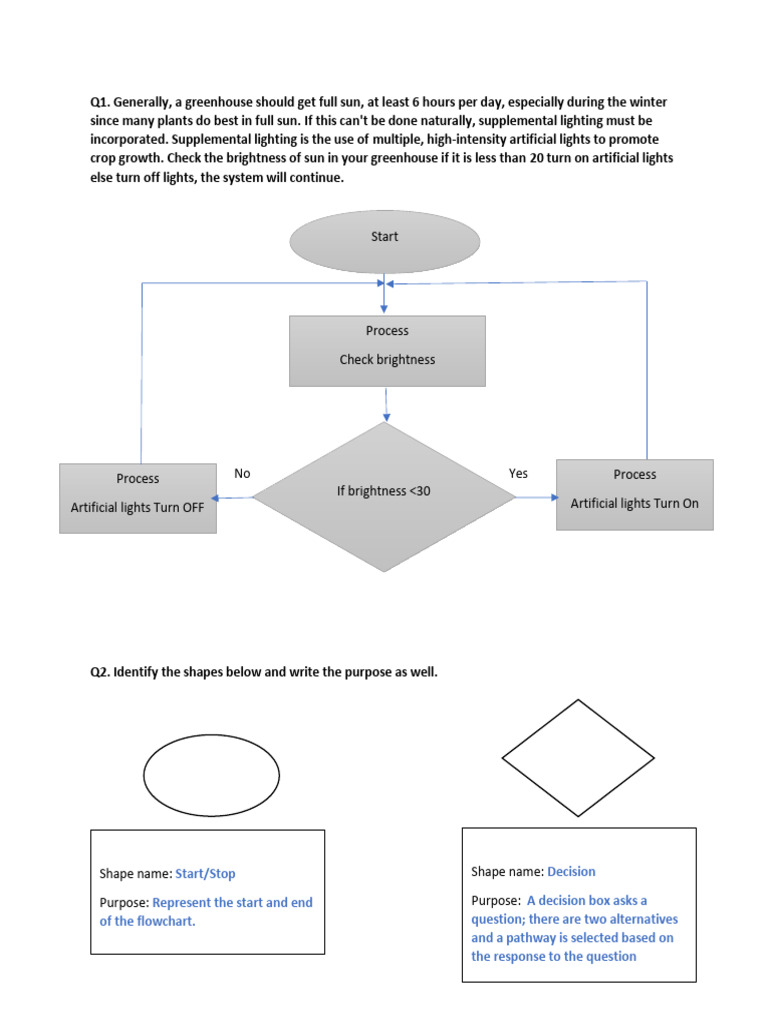 Theory Practice Sheet 2 Marking Key | PDF