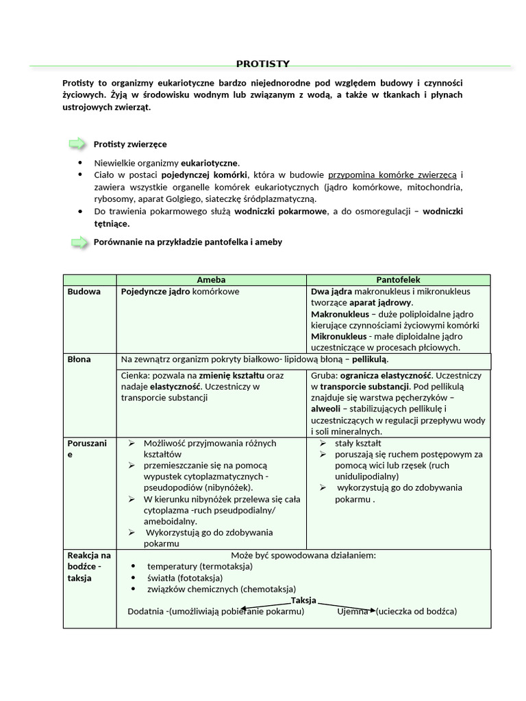 Biologia Protisty | PDF