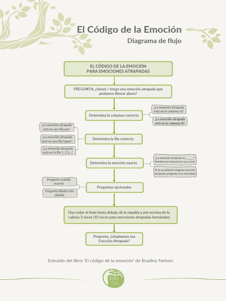 Diagrama Flujo Código Emoción | PDF