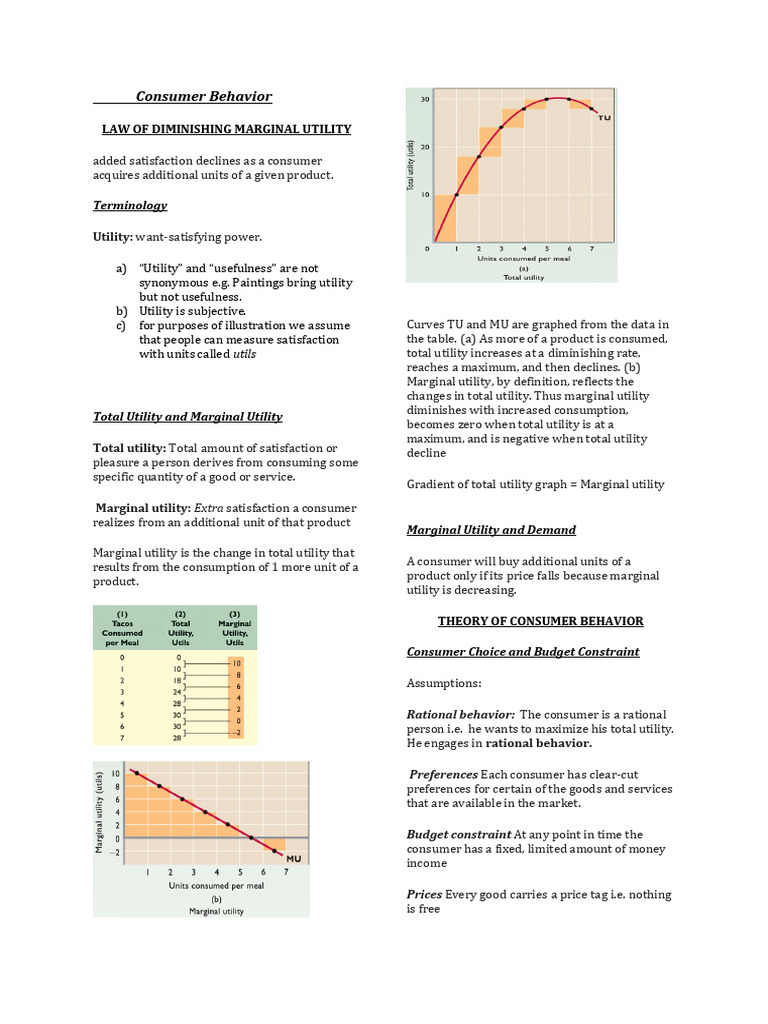 Introduction To Economics 5 | PDF | Utility | Marginal Utility