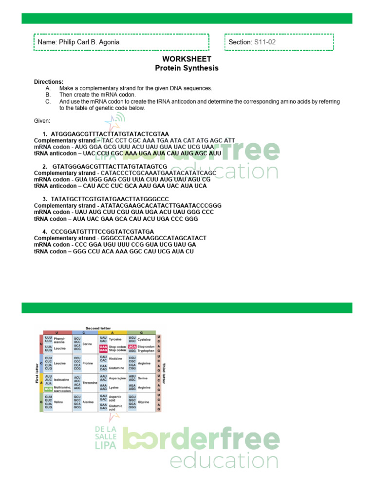 Codon and Anticodon Worksheet | PDF | Science & Mathematics