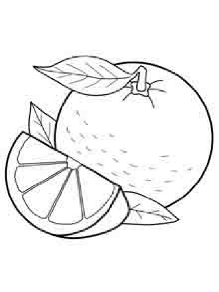 Imprimir Frutas para Colorir Limao | PDF