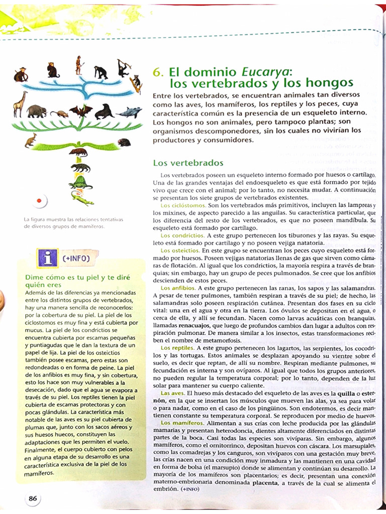 Biología P Pensar 86 87 | PDF