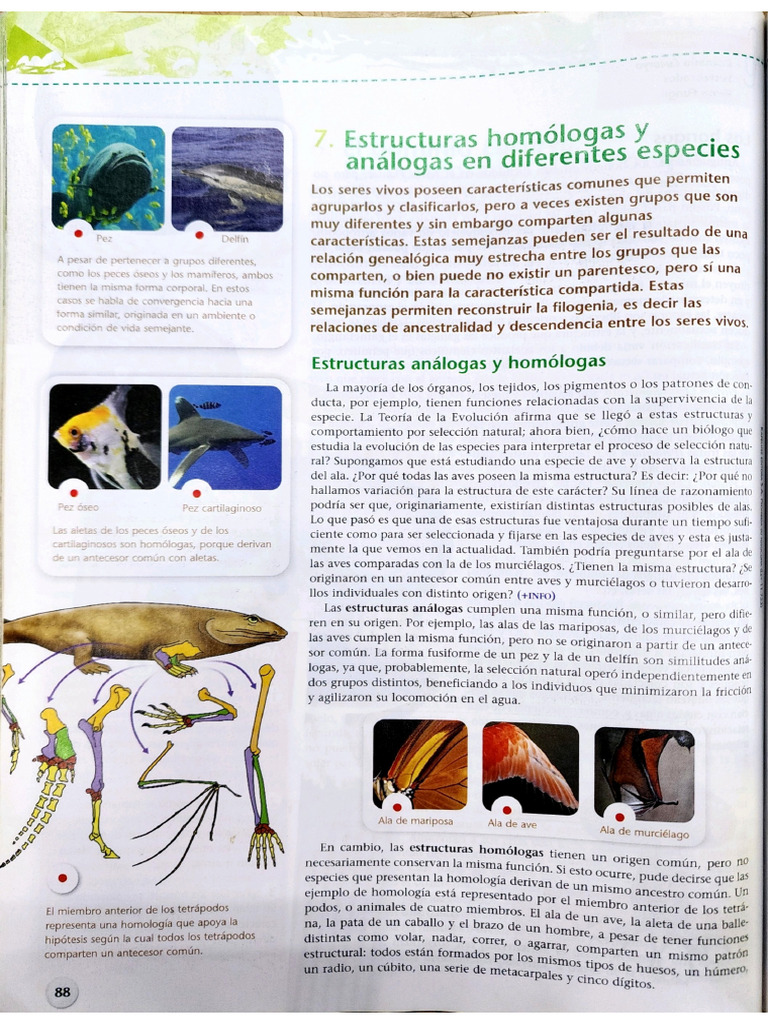 Biología P-Pensar 88, 89 | PDF