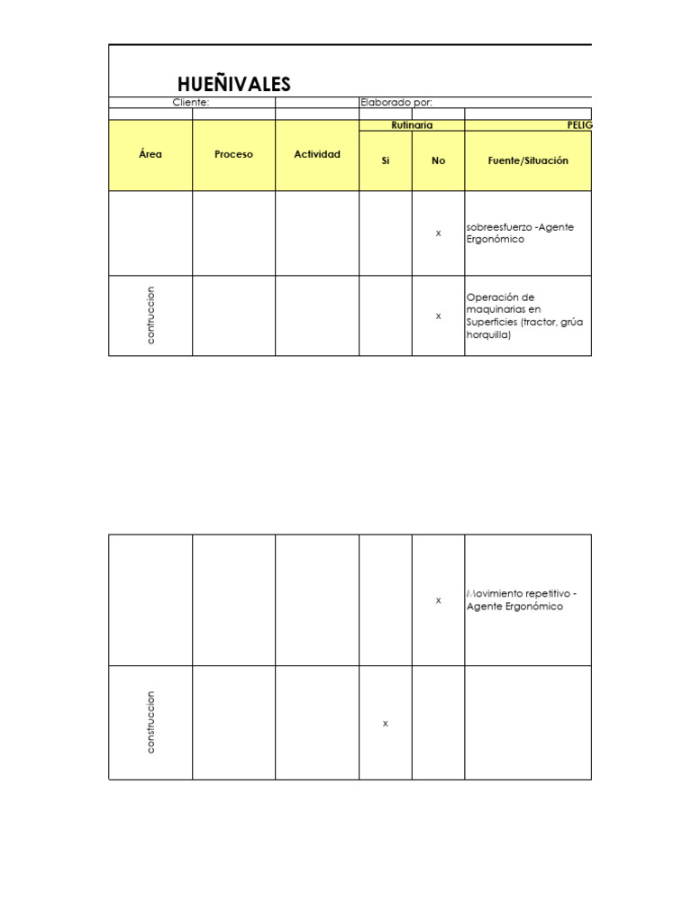 Formato MIPER Ingrid | PDF