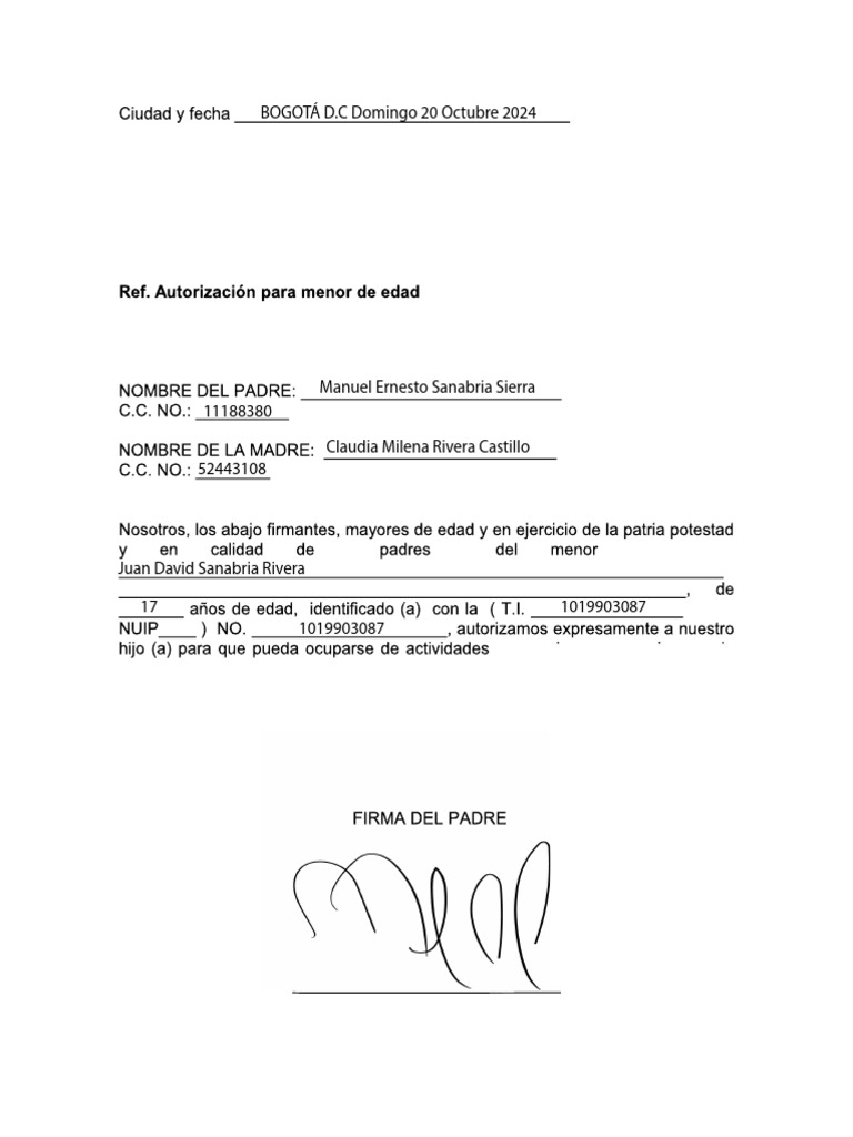 Autorizacion Juan David | PDF