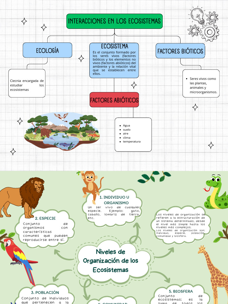 Interacciones en Ecosistemas y Niveles | PDF | Ecosistema | Habitat