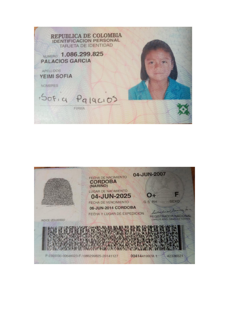 Documento de Identidad (Sofia) | PDF