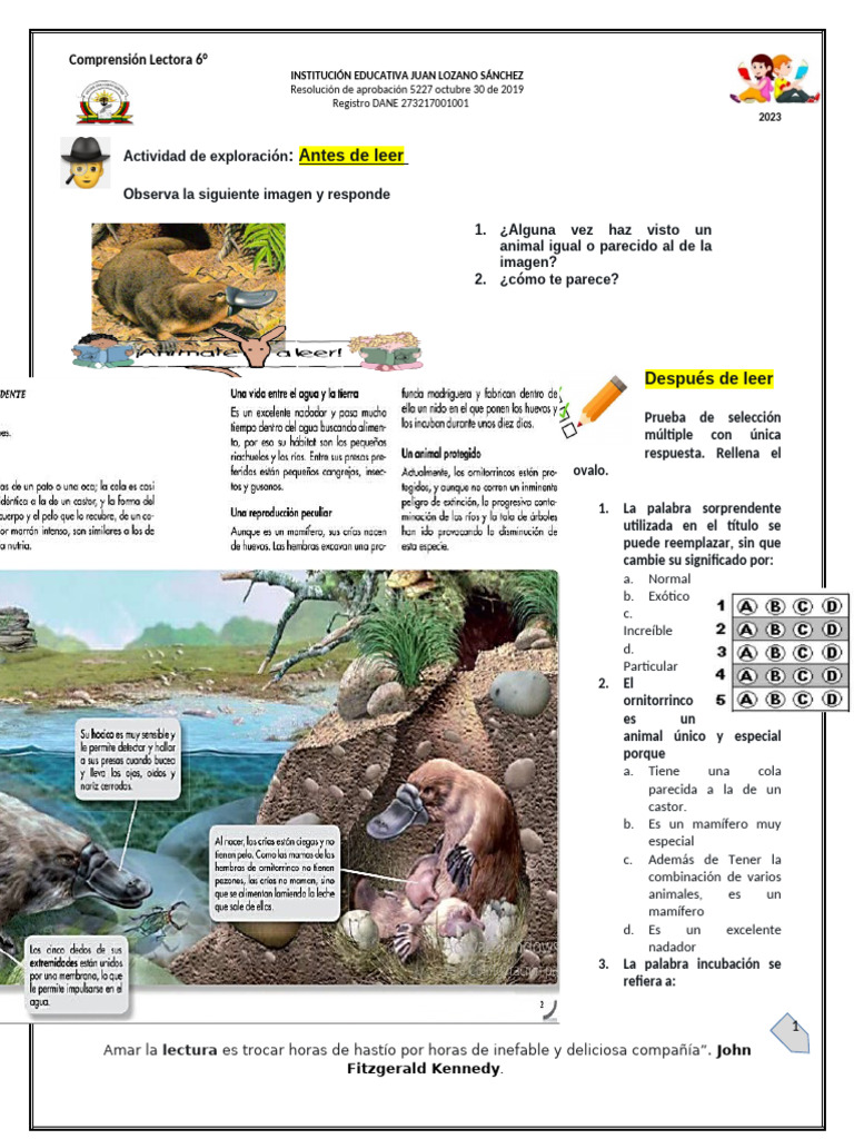 Comprensión Lectora El Ornitorrinco Pdf Mamíferos