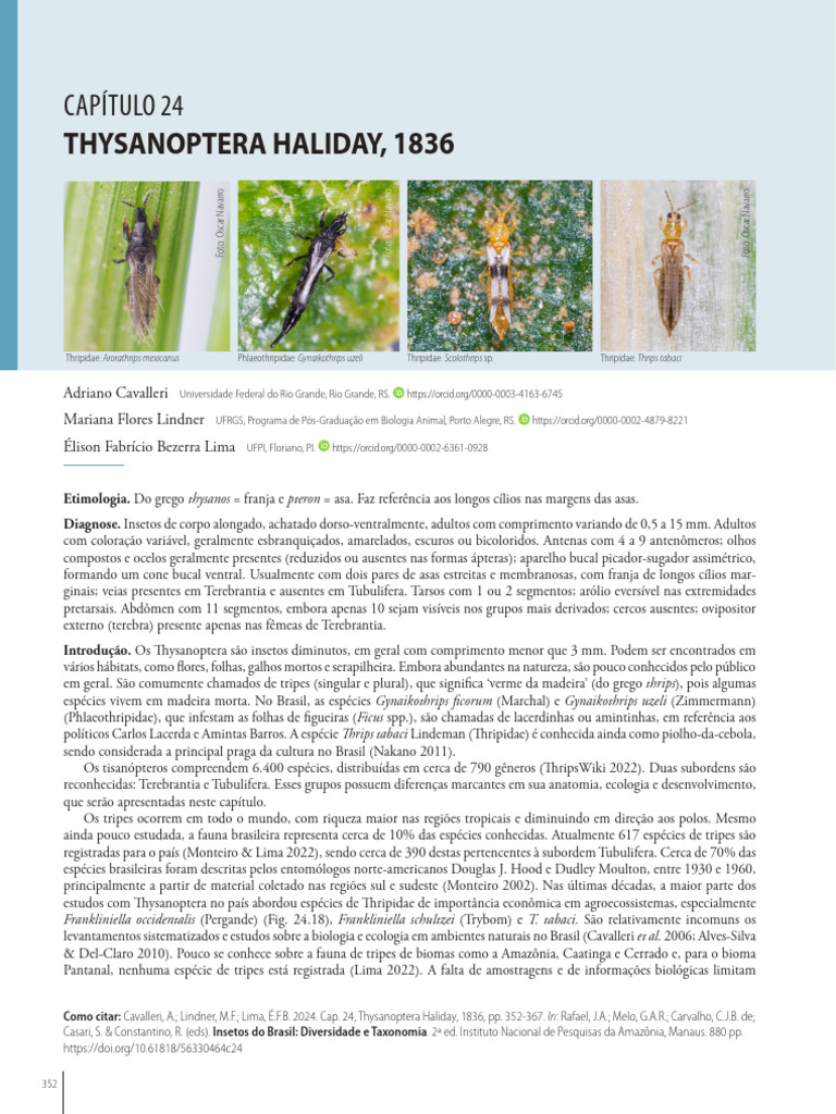 Thysanoptera: Características e Diversidade | PDF | Estudos de Línguas ...