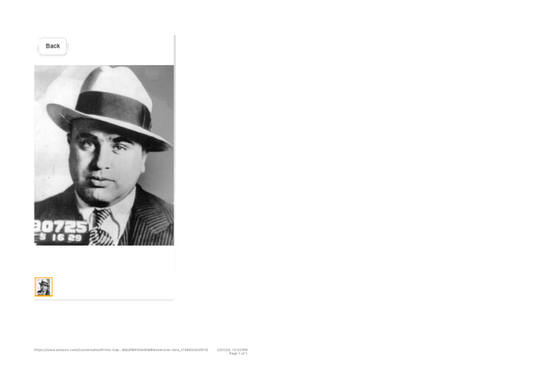 ConversationPrints AL CAPONE MUG SHOT PORTRAIT GLOSSY POSTER PICTURE | PDF