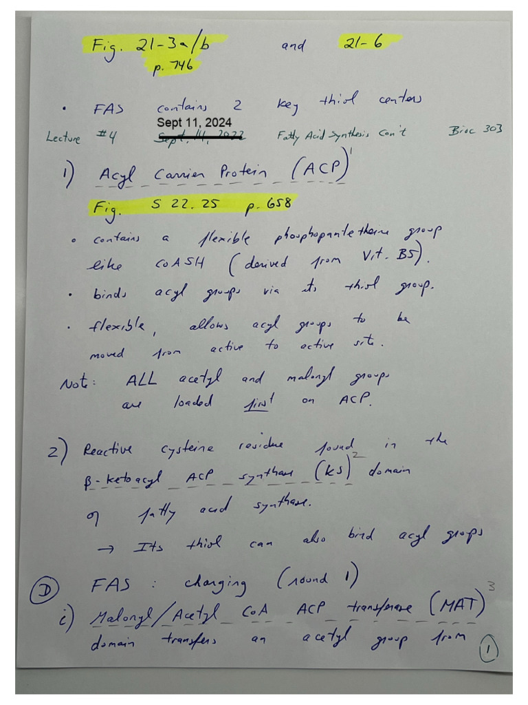 Biochem Lecture 4 Notes Pdf