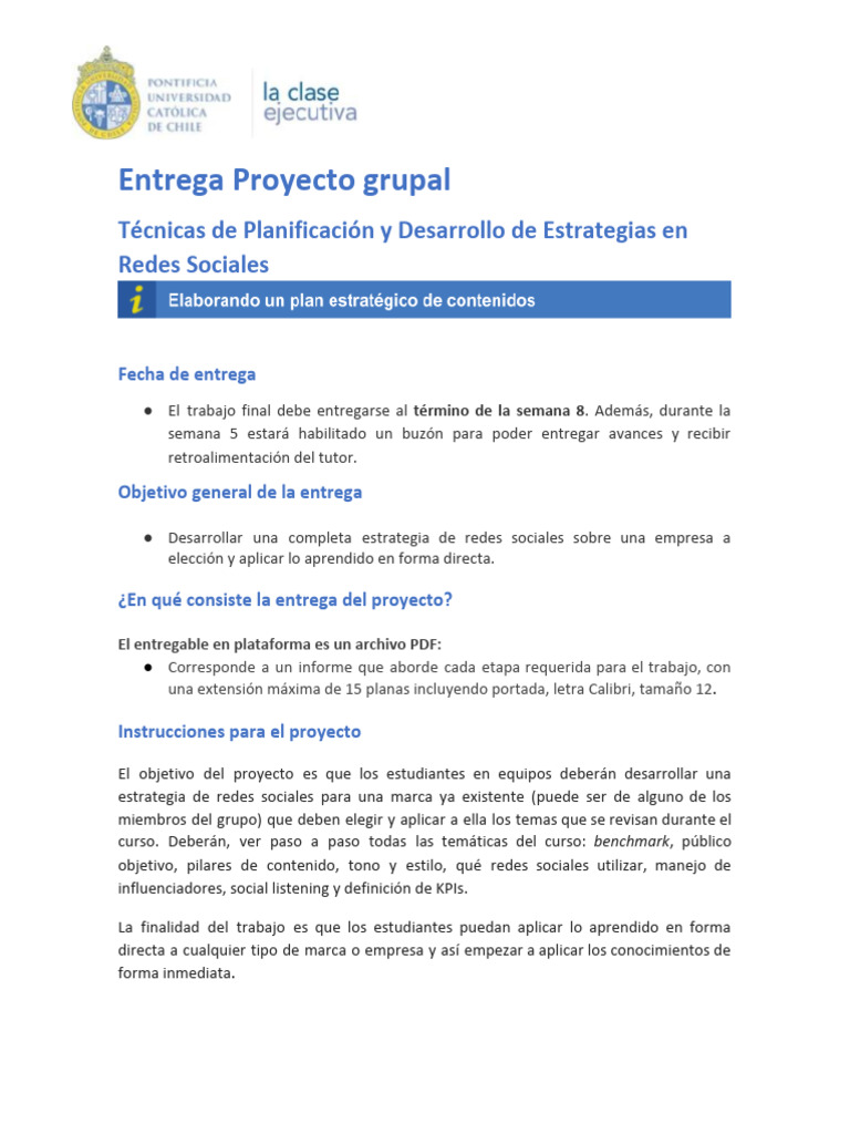 Proyecto Grupal RRSS | PDF | Negocios | Informática
