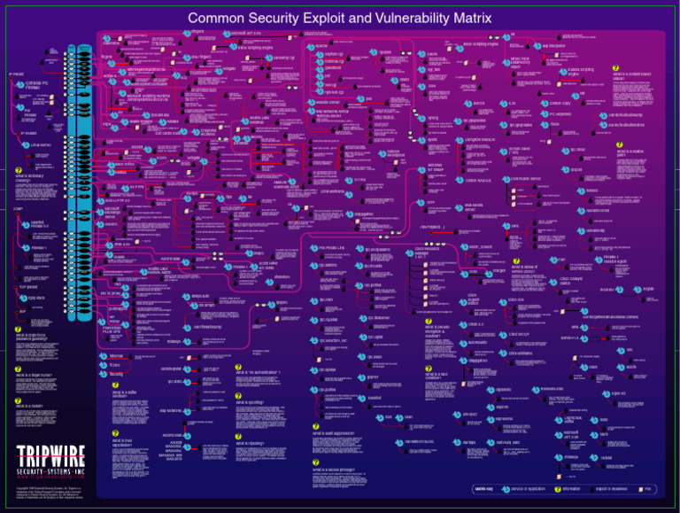 Security Vulnerabilities and Exploits Overview | PDF | Networking | Internet & Web