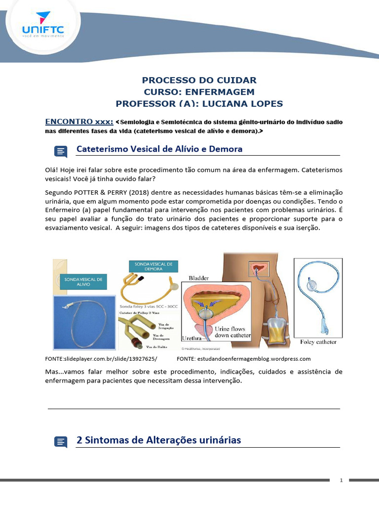 Texto-Cateterismo Vesical de alívio e demora-2 | PDF | Micção | Enfermagem