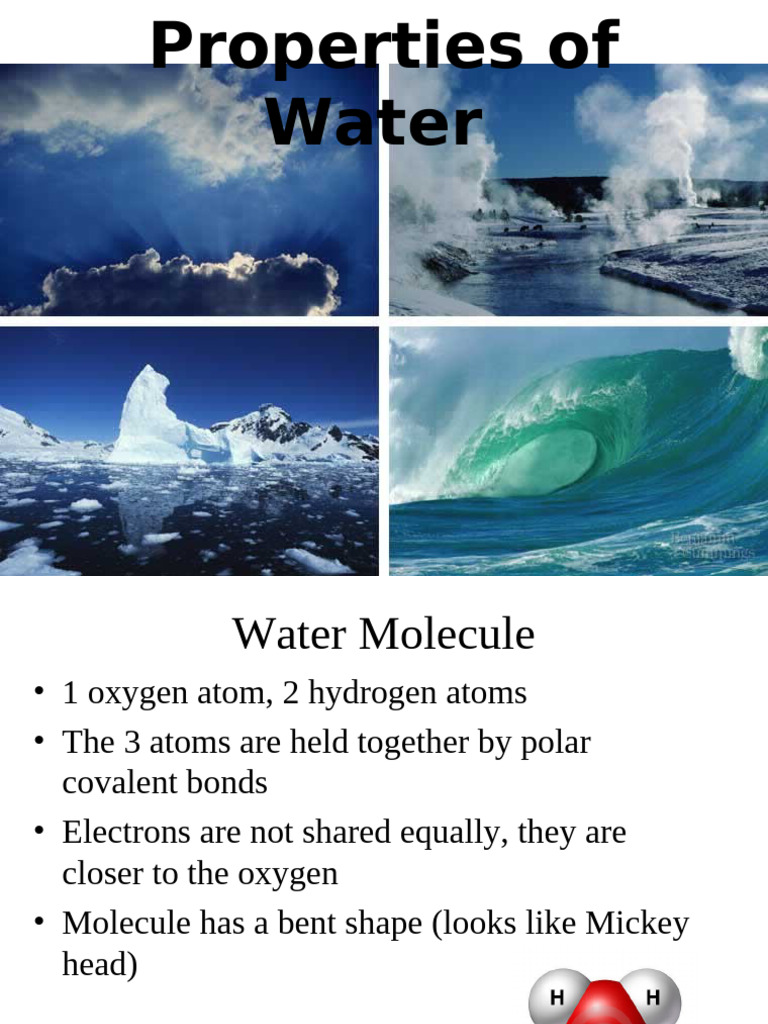 Essential Properties of Water Explained | PDF | Water | Properties Of Water