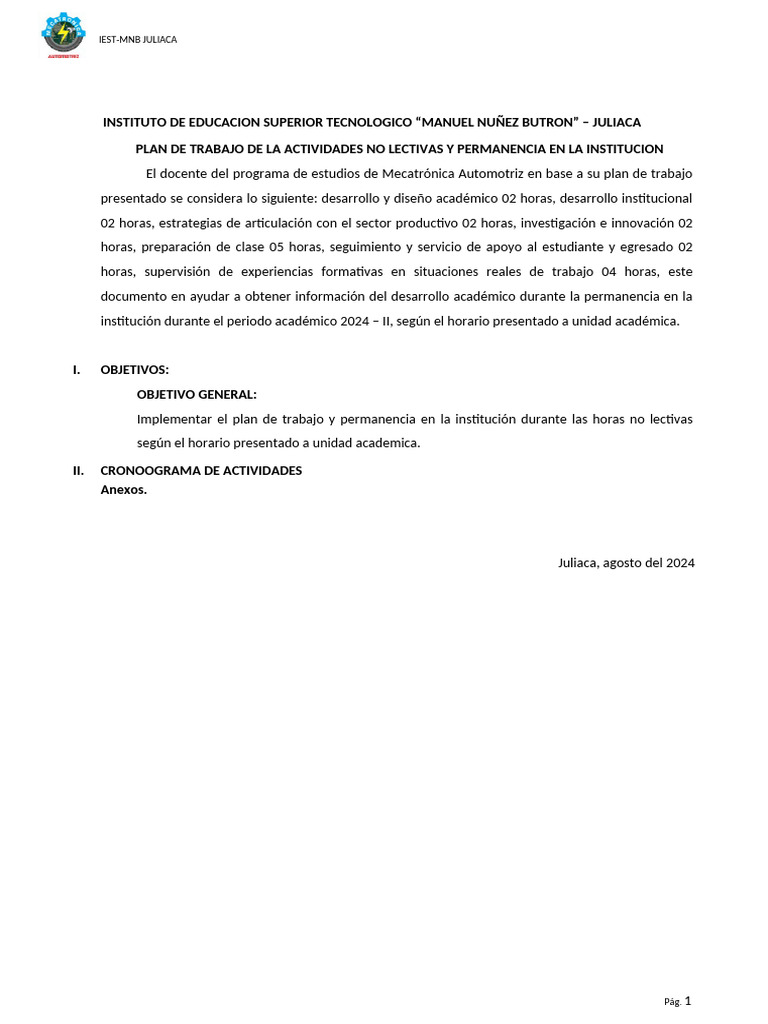 Plan - Detallado de Actividades No Lectivas | PDF | Arte
