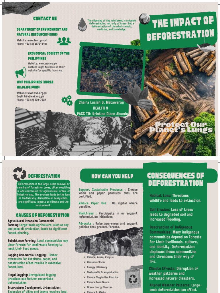 Green Modern Textured Environmental Sustainability Brochure | PDF