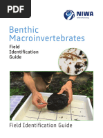BMWP Score Sheet and Interpretation | PDF | Horticulture And Gardening ...
