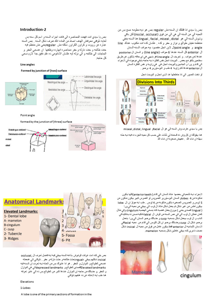 Introduction Lec.2 | PDF