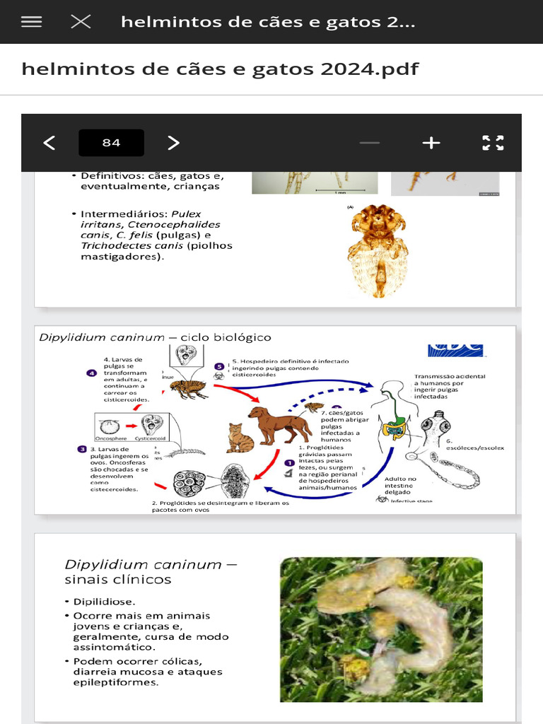 Arquivo 10 | PDF | Especialidades médicas | Animais e seres humanos