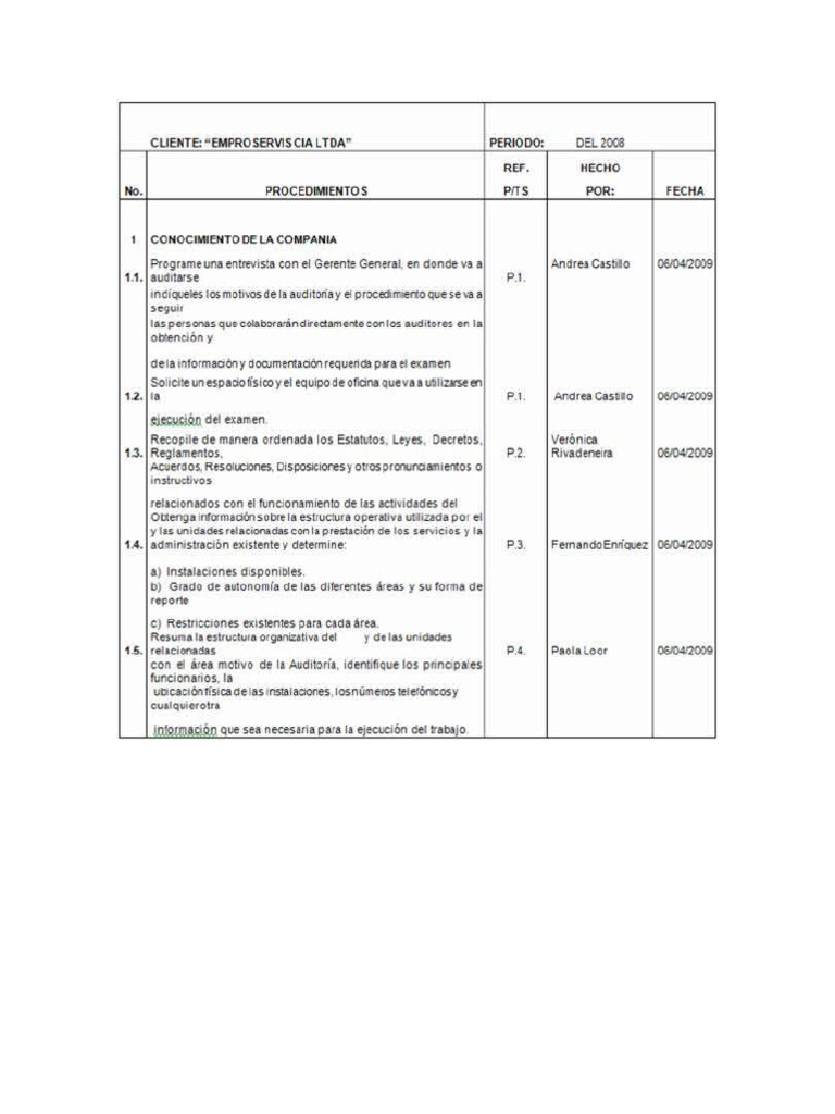 Plan y Programa de Auditoria | PDF