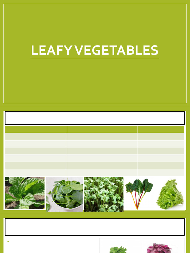 12 Leafy Vegetables | PDF | Leaf Vegetable | Botany